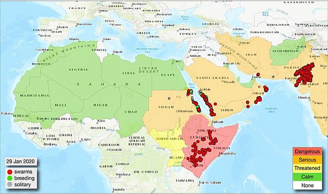 9 maps to show how locusts have come to threaten India