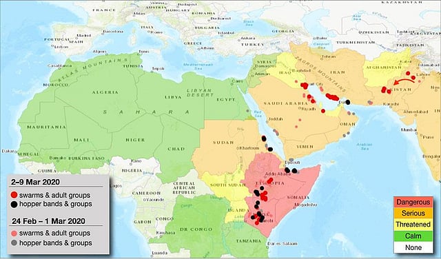 9 maps to show how locusts have come to threaten India