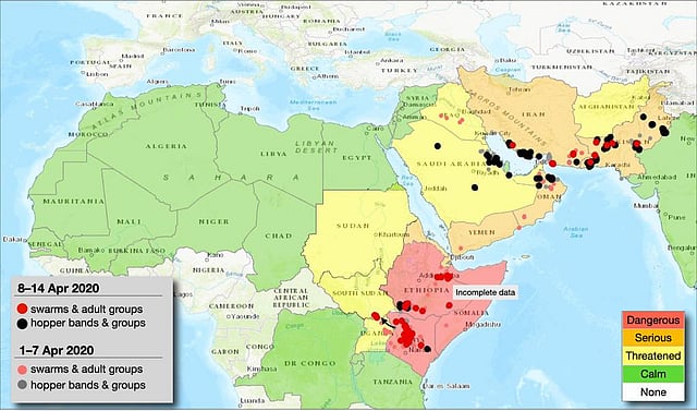 9 maps to show how locusts have come to threaten India