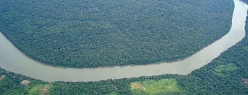 Amazon rainforest is drying out. How much more abuse can it take?