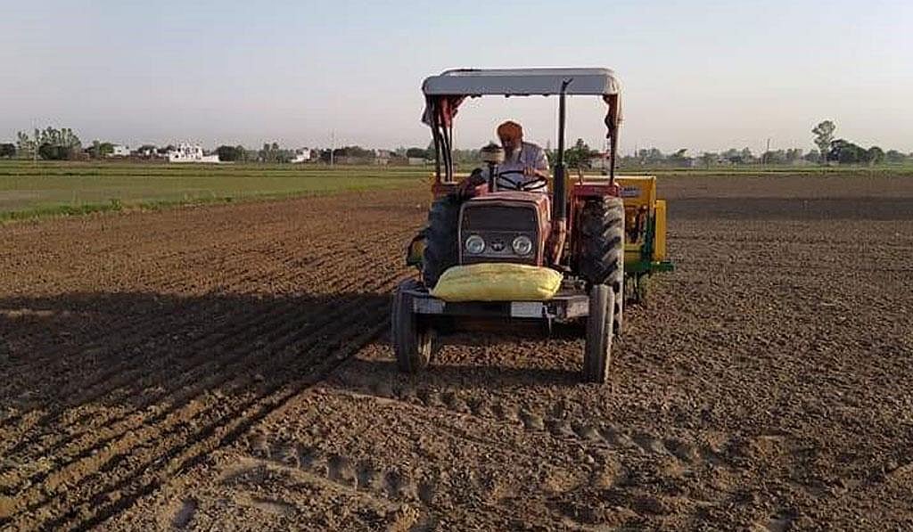 Back to basics: COVID-19 labour crunch brings direct seeding of paddy ...