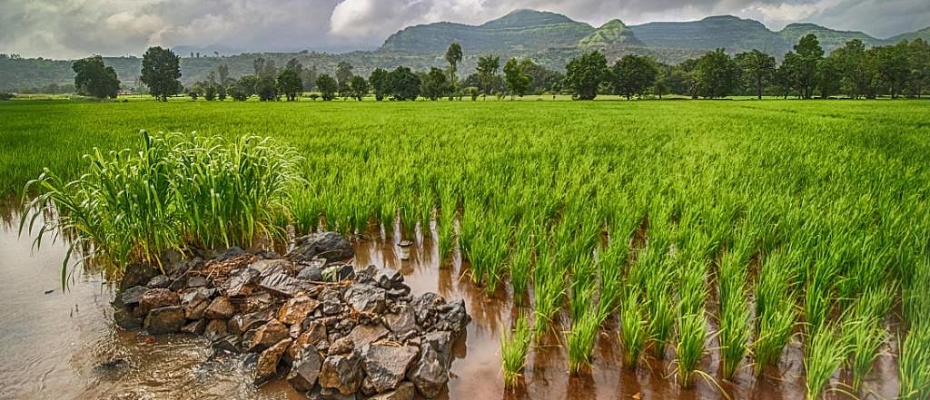 Did you know this monsoon was the first on a new calendar? Here’s why ...