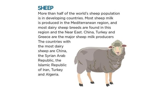 Where does milk come from?
