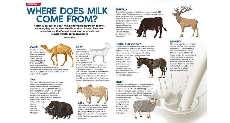 Where does milk come from?