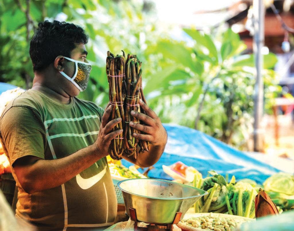 Taro: In which you can eat both shoots and leaves