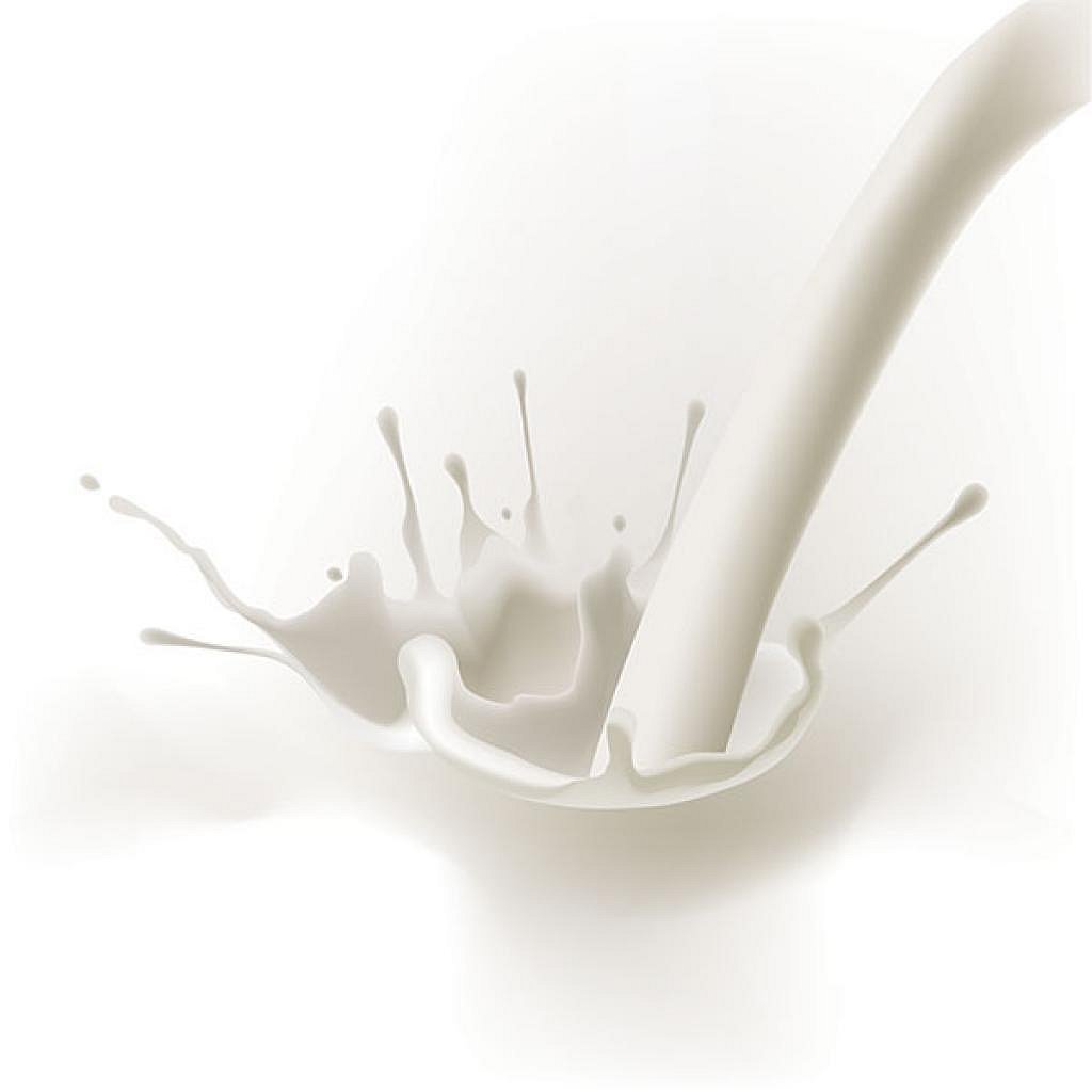 कहां से आता है दूध?