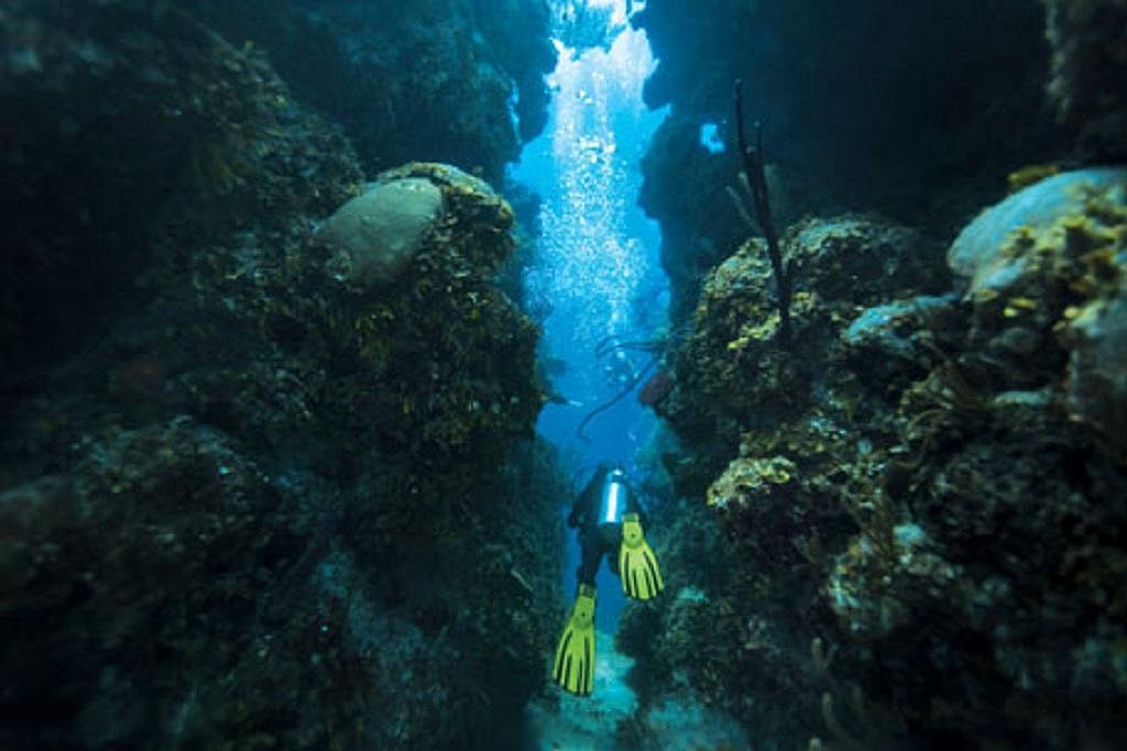 Union Budget 2021-22: Finance Minister launches Rs 4,000 crore deep ...