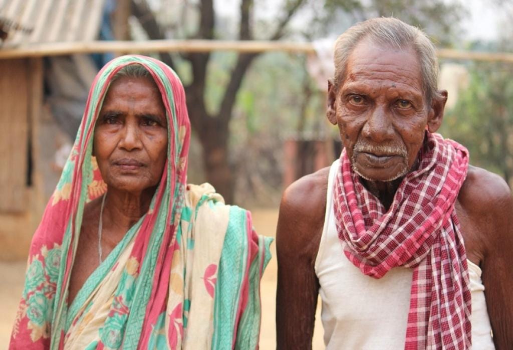 Similipal forest fires put Odisha’s Lodha tribe in jeopardy