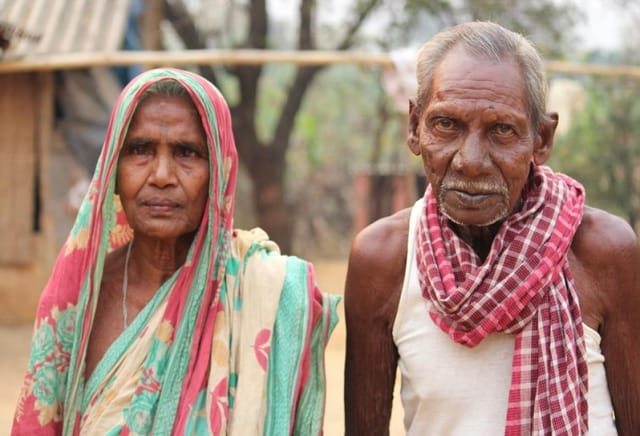 Similipal forest fires put Odisha’s Lodha tribe in jeopardy