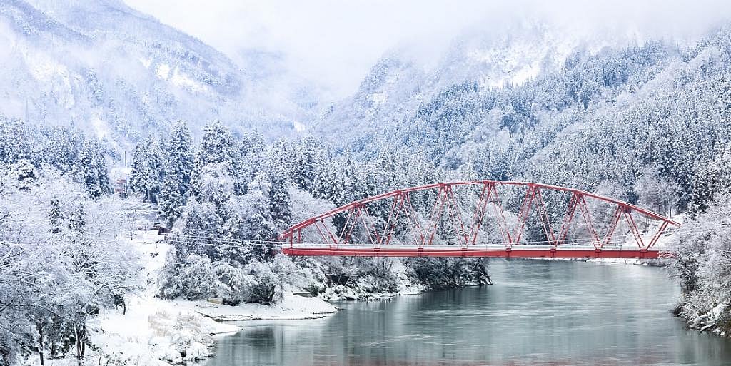 ‘The difference between Chernobyl and Fukushima wildlife is the wolf is ...
