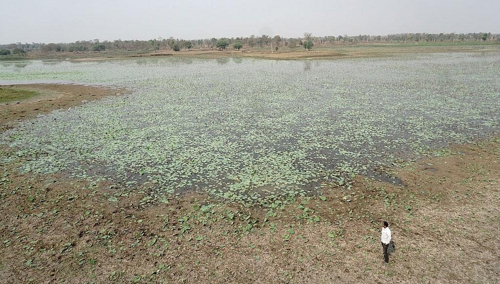 World water day: How a village in Maharastra turned a dying lake into a ...
