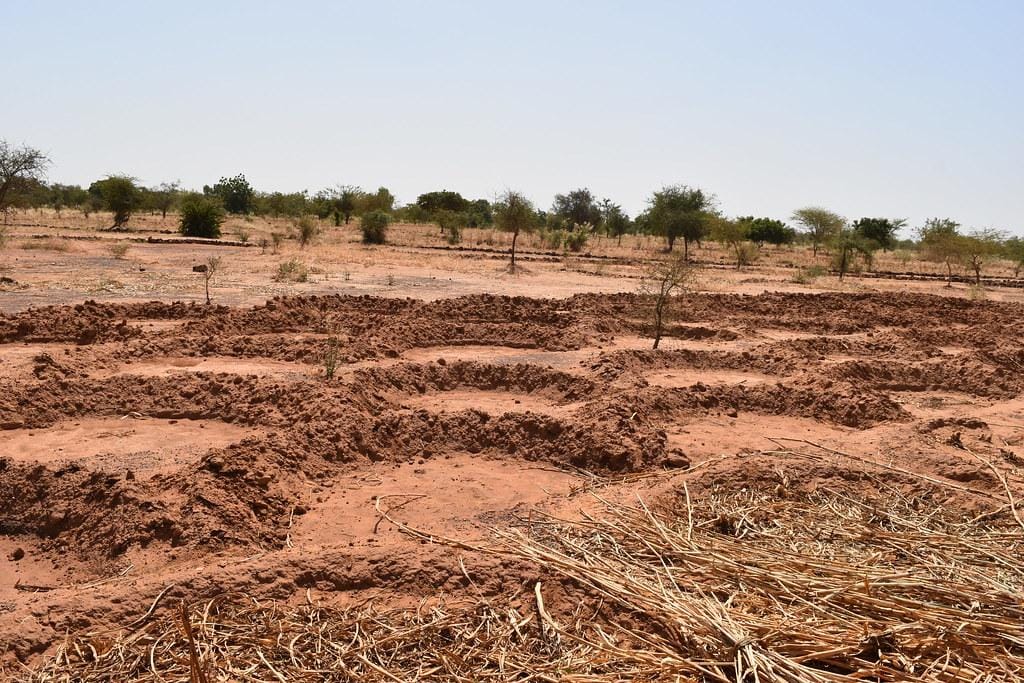 Climate change: Food production in Africa’s Sudano-Sahelian Zone under ...