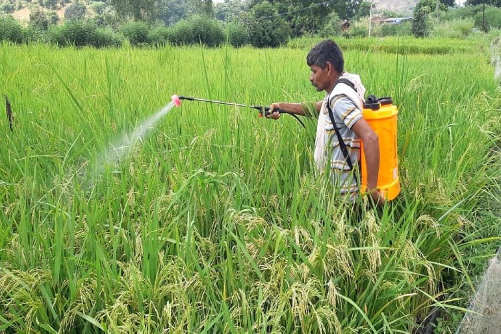 Providing the poorest landless agricultural labourers with farm tools ...
