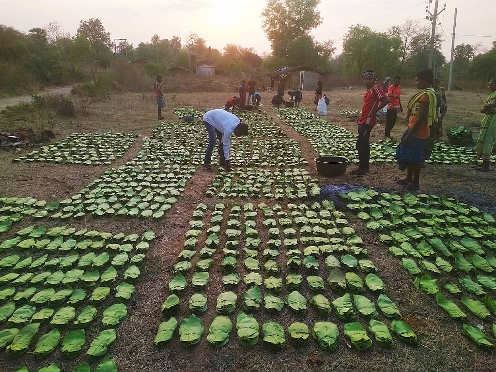 Kendu leaves: 29 Odisha villages win complete autonomy, but still a ...