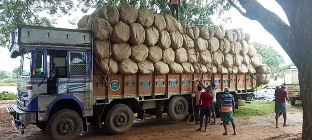 Kendu leaves: 29 Odisha villages win complete autonomy, but still a ...