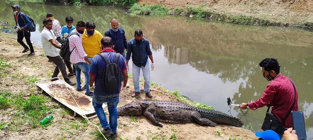 Centre asks Gujarat to look into clean-up drive in Vishwamitri