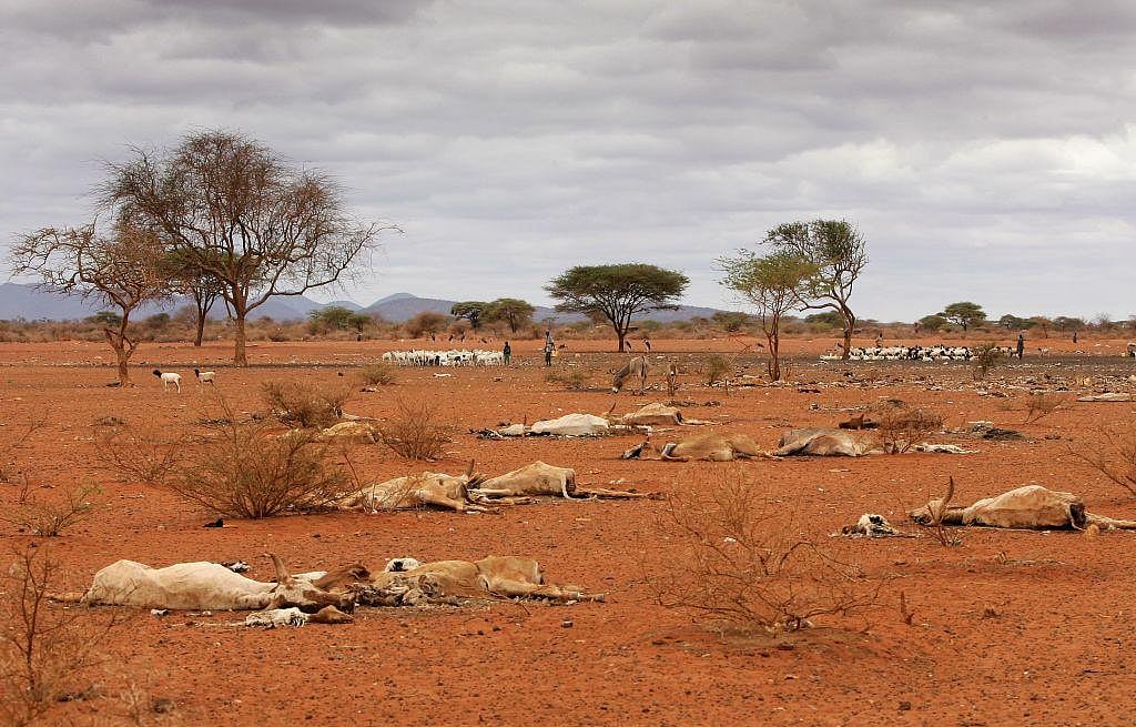 Scientists sound the alarm over drought in East Africa: What must ...