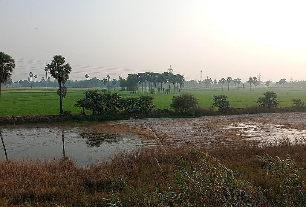 Bihar to give subsidy to farmers who could not cultivate crops due to ...