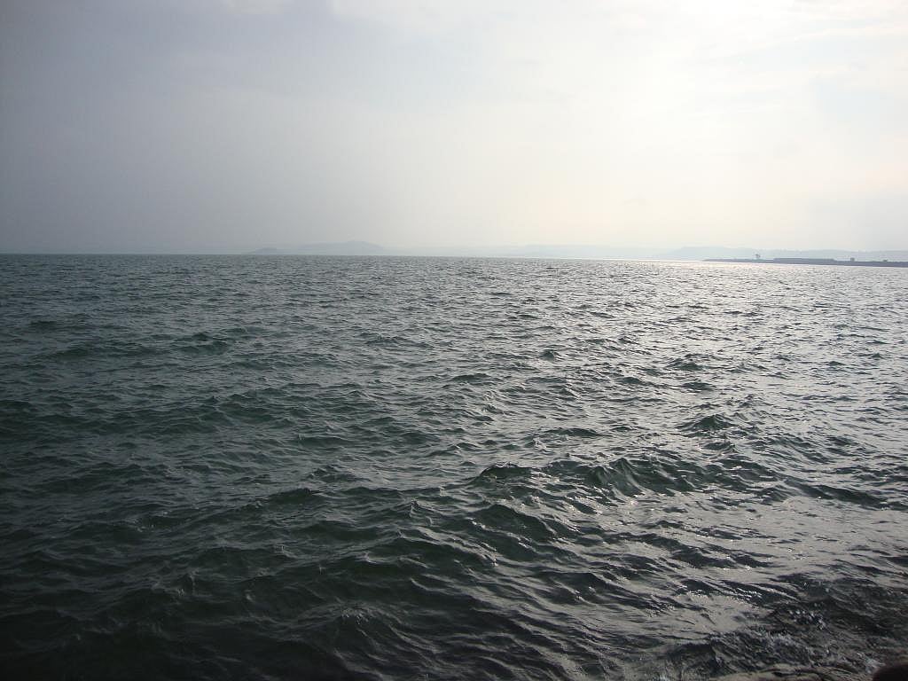 Fishermen move out as output of fish in MP’s Bargi reservoir falls