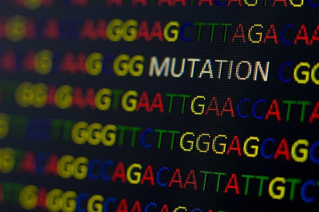 Genomic sequencing: Here’s how researchers identify omicron and other ...