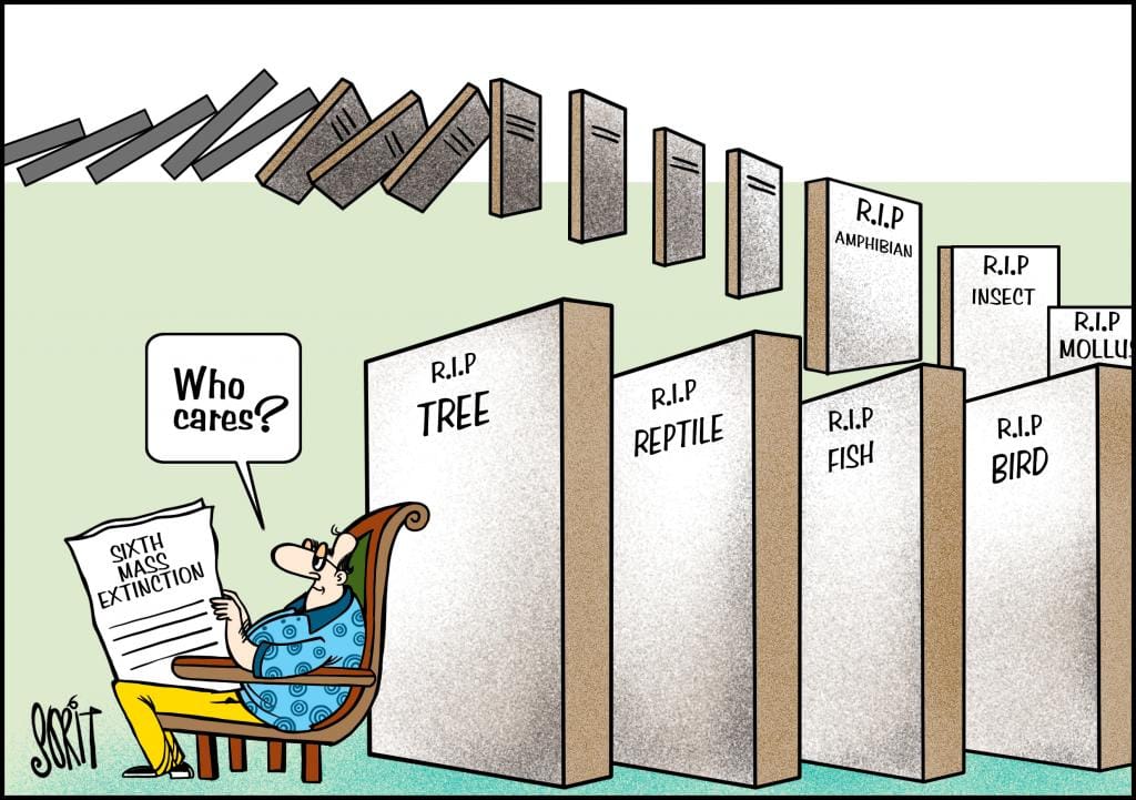 Good while it lasted - II: 6th mass extinction an all pervasive loss