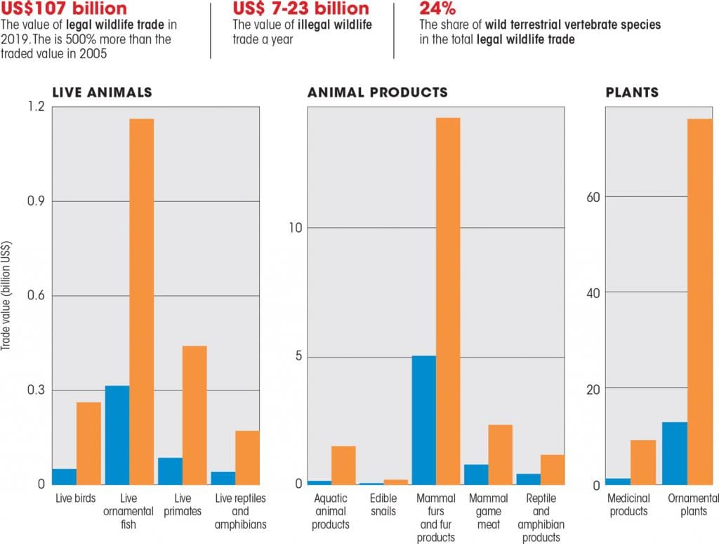 Legal wildlife trade