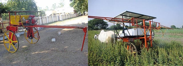 Bullish turn: The return of the bullock to India’s farms