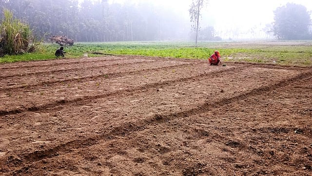 How nutrient-deficient are Indian soils?