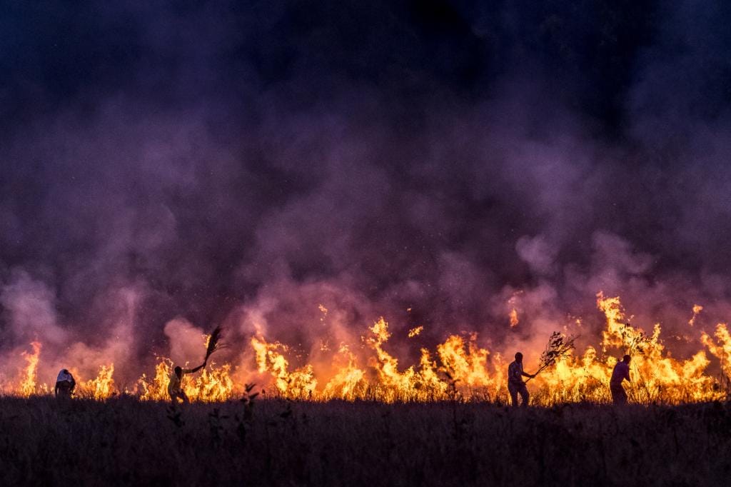 Summer fire activities thrice than winter months in 2021