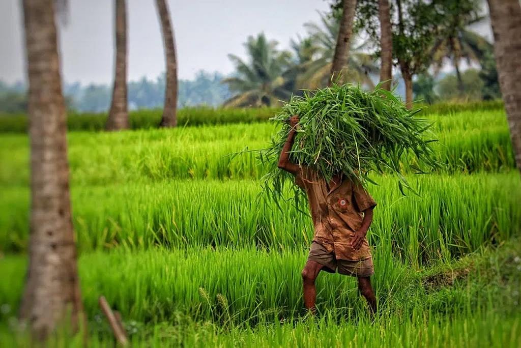 कृषि प्रधान देश में कर्ज के बोझ तले दबे हैं 50 फीसदी कृषक परिवार: सीएसई ...