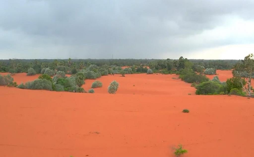 How to stabilise sand dunes in Thoothukudi’s theri land