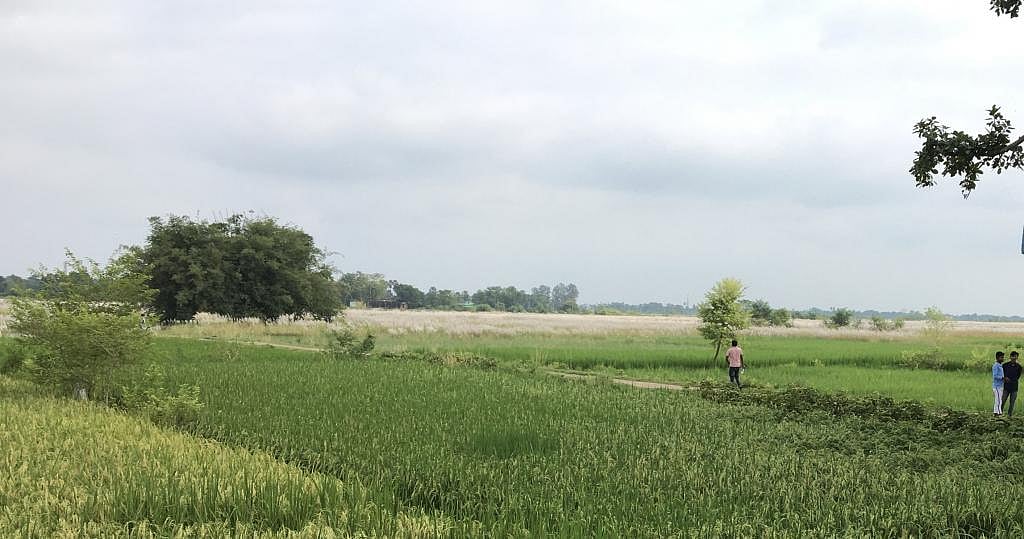 Should a drought in Bihar be declared? Experts say yes, govt says wait