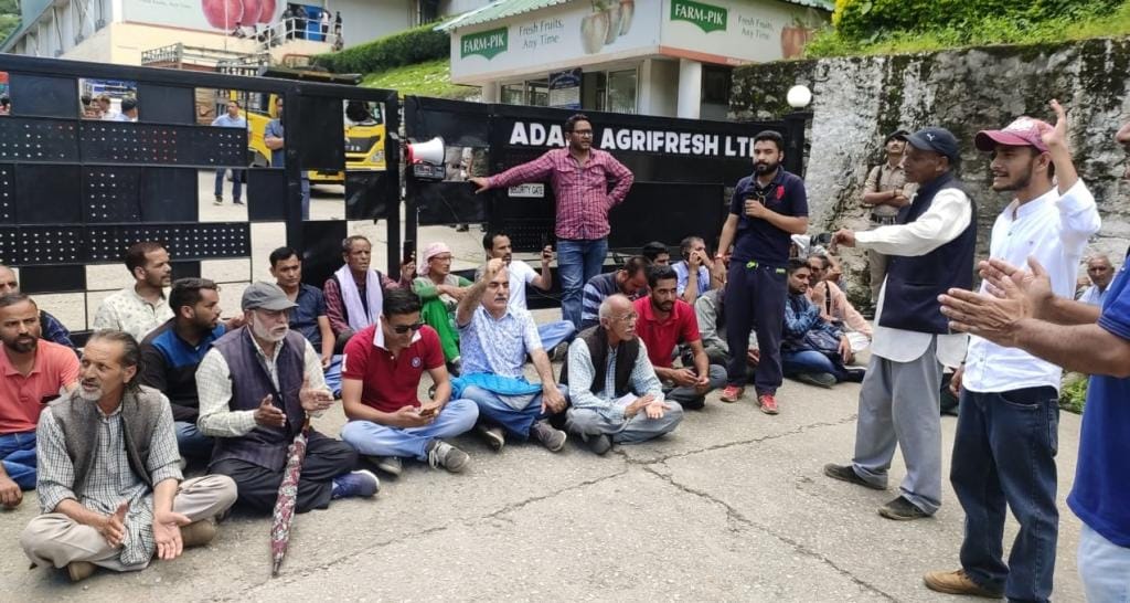 Will picket your stores in winter, Himachal apple growers threaten ...