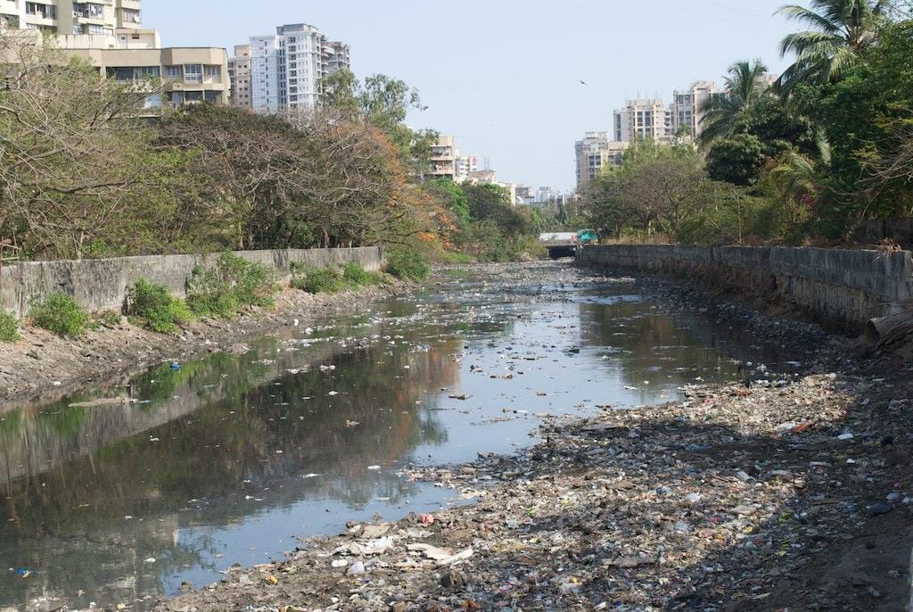 The ‘forgotten’ water ecosystems of Mumbai