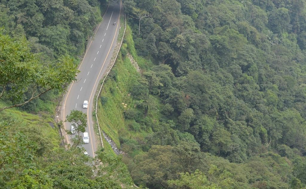 Western Ghats: Supreme Court quashes plea against Gadgil, Kasturirangan ...