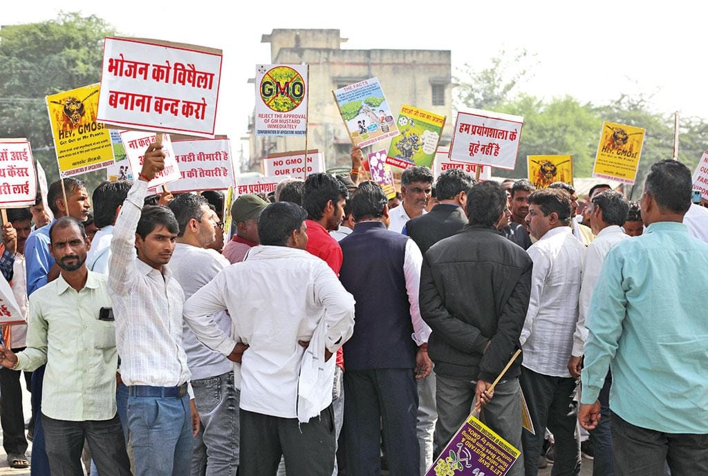 DTE Coverage: Does India really need GM mustard
