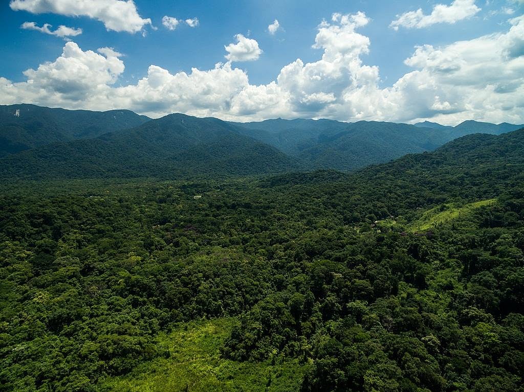 On a clearing spree? Green nod to 2,250 projects, 270 of them in ...