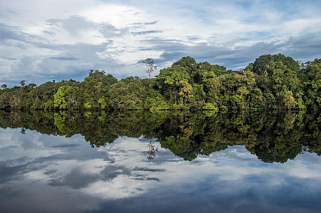 Amazonian biodiversity: Indigenous convoy to bring focus to threats ...