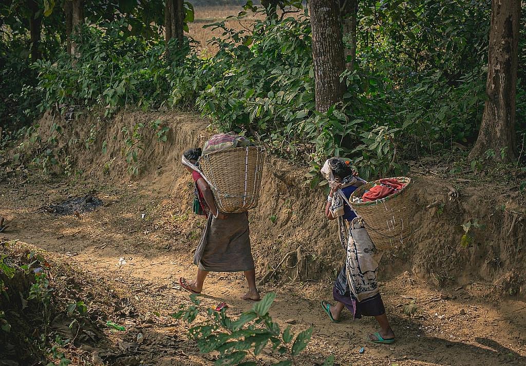 Indigenous Peoples Key to Achieving 30x30 Biodiversity Target, Experts Say