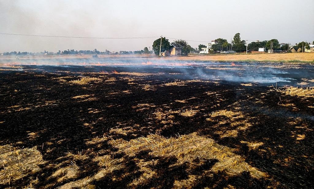 Delayed paddy plantation has cascading effect on north India’s air ...