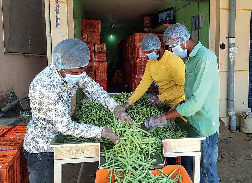 Organic reinforcement: Here’s how chemical-free perishables can be promoted