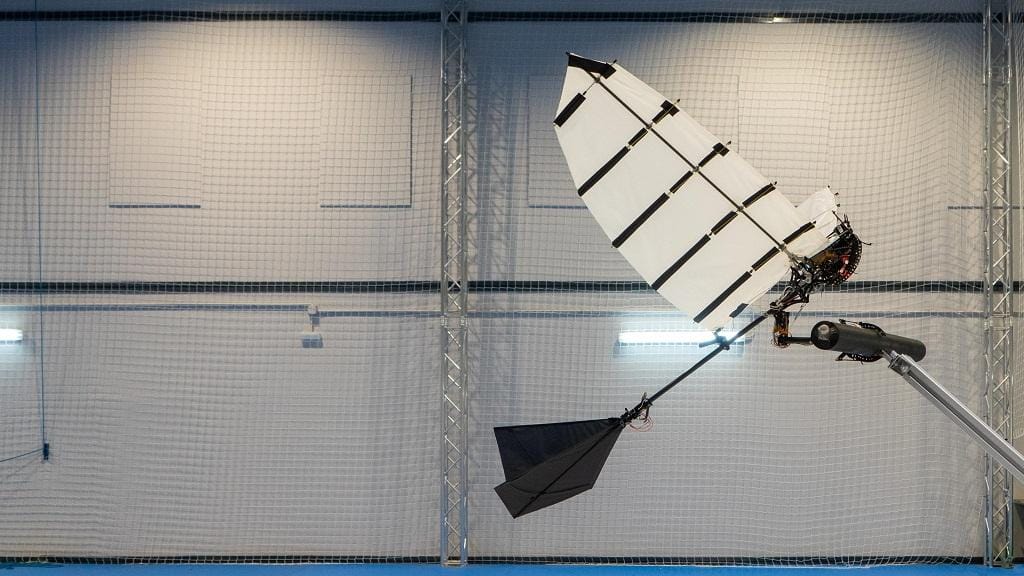 This flapping-wing robot can land, perch like a bird
