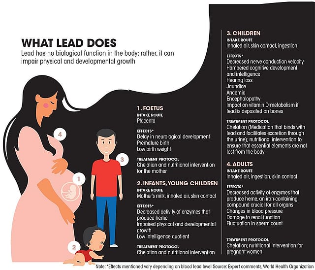 Element of mystery: Lead poisoning is a huge public health concern for ...
