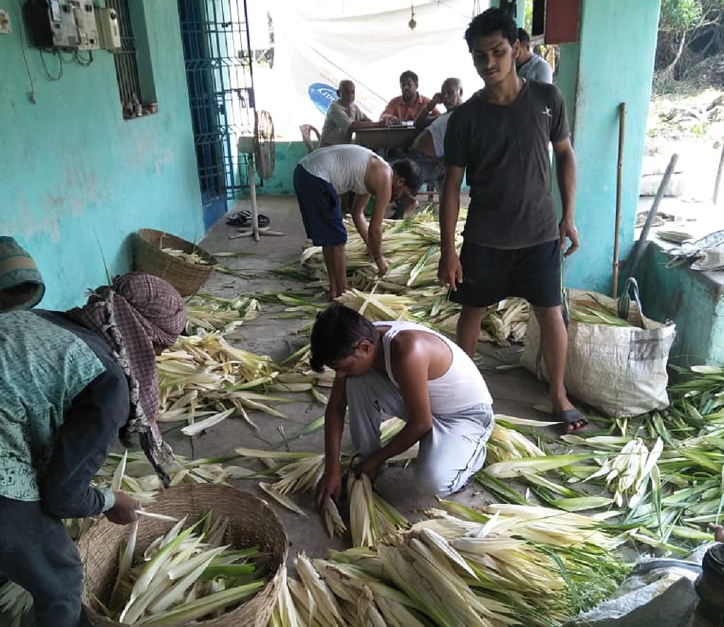 Smells like a fortune: Rising demand for kewda oil a blessing for ...