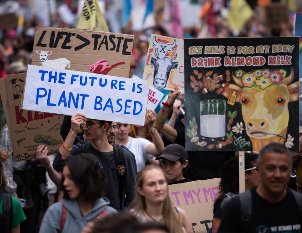 Veganism: Why we should see it as a political movement rather than a ...