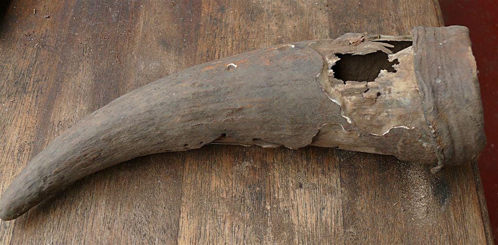 500-year-old horn container discovered in South Africa sheds light on ...