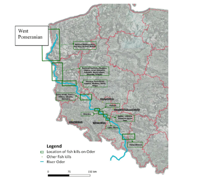 Oder river ecological disaster that killed hundreds of tonnes of fish ...