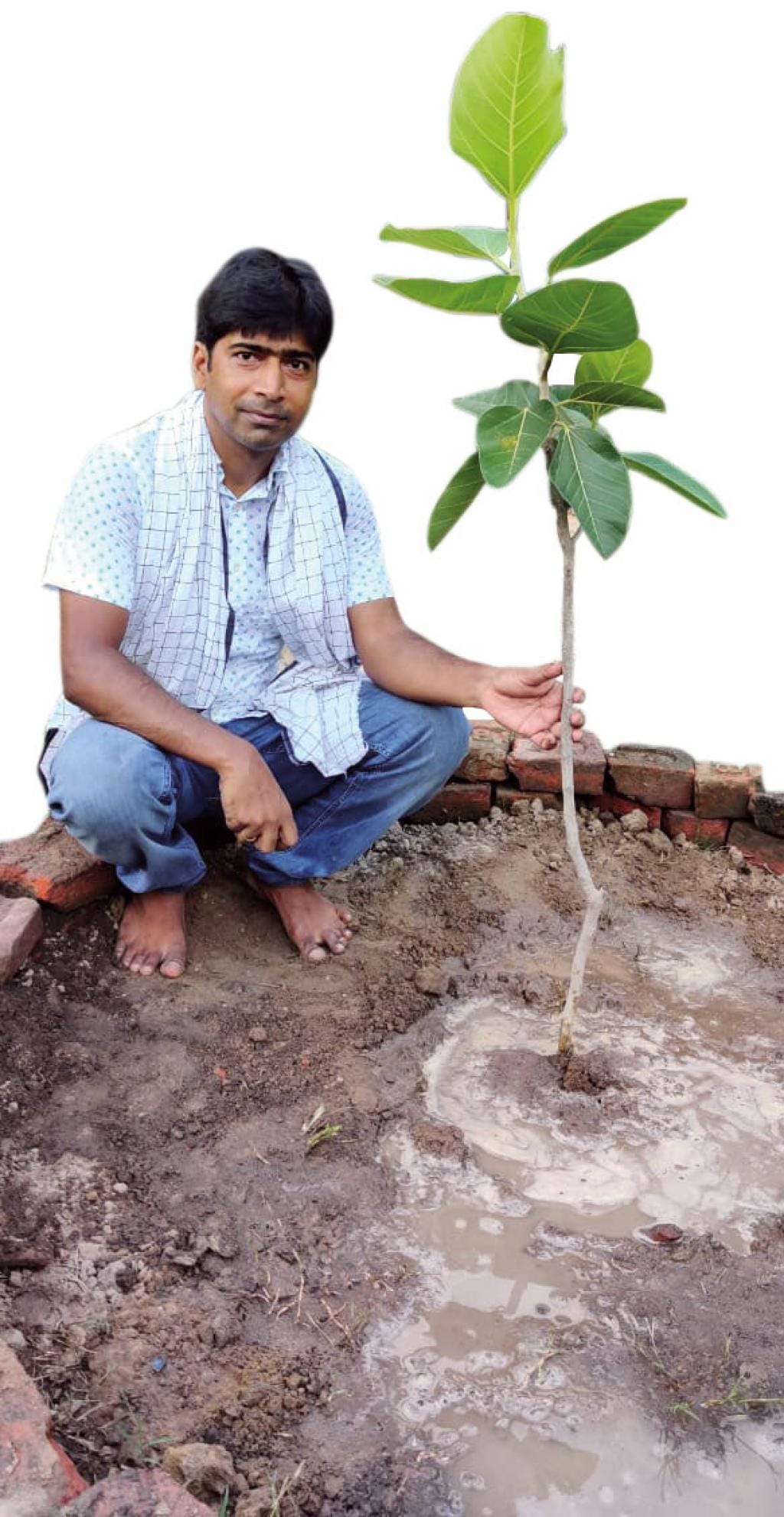 Mission Hariyali: This man distributes free saplings to bring back ...