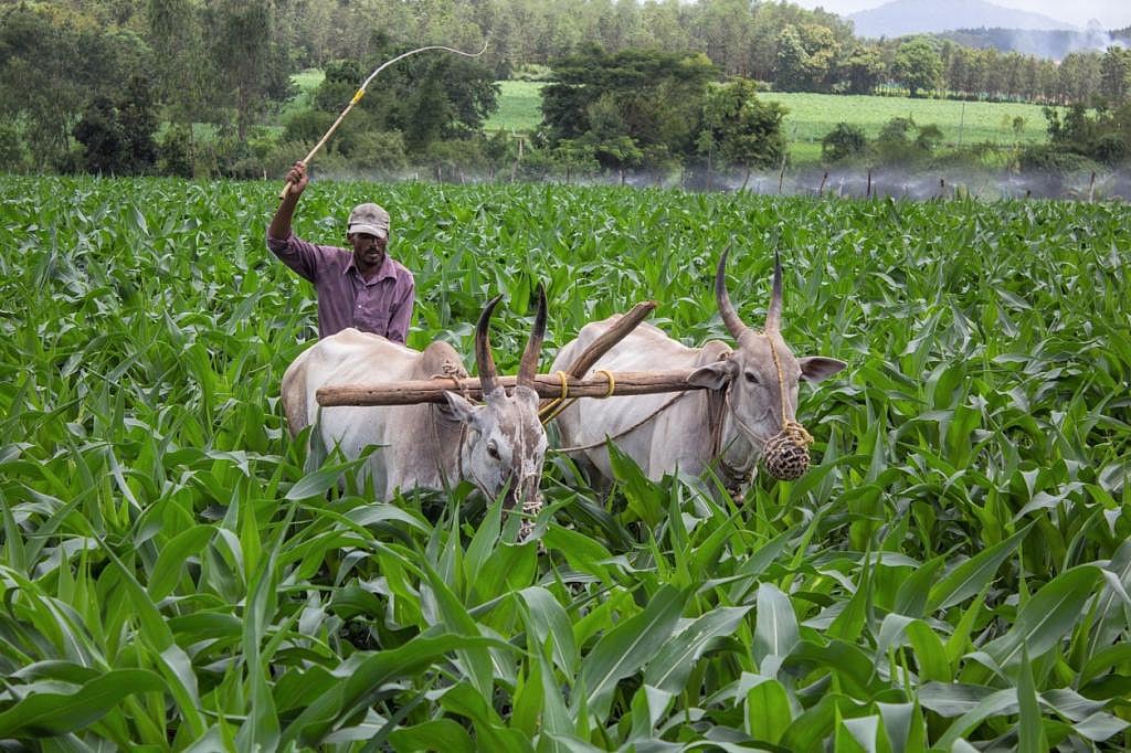 What do Union budgets mean for long-term agri development in India?