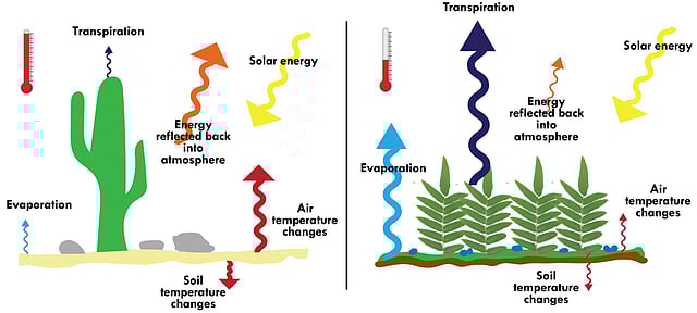 Managing microclimates — a ‘third way’ to combat climate change